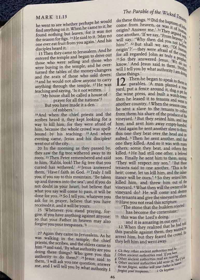 New Revised Standard Version (NRSV) of the Holy Bible Anglicized ...