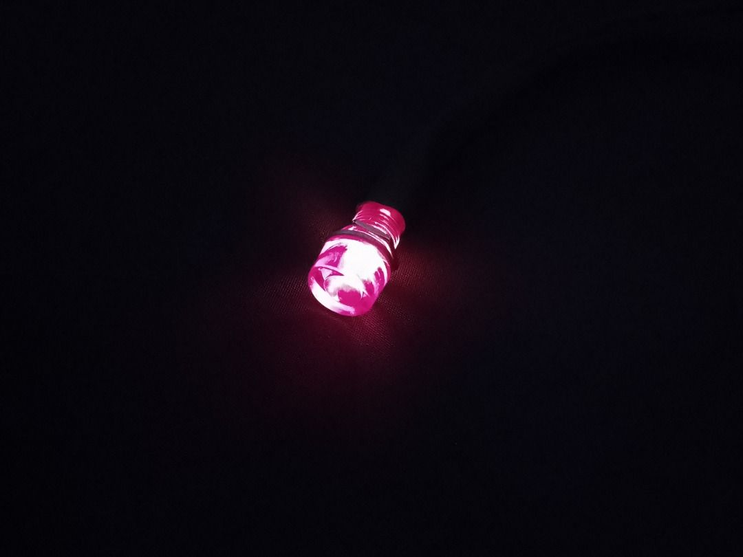 PILOT BULB 220V CIRCLE HEAD 10mm 2-PIN with WIRE (1-PC per ORDER ...