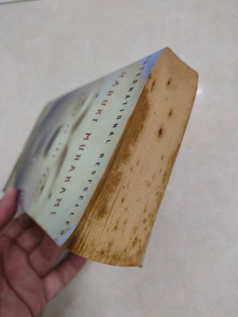 [Used] Kafka on the Shore by Haruki Murakami (Magical Realism / Fantasy ...