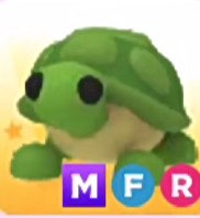 FR Turtle (Adopt Me), Video Gaming, Gaming Accessories, In-Game ...
