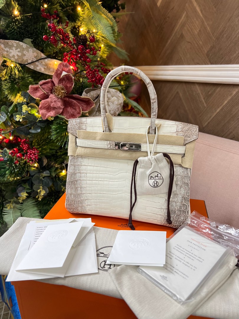 B30 Himalaya Z with original receipt, Luxury, Bags & Wallets on Carousell