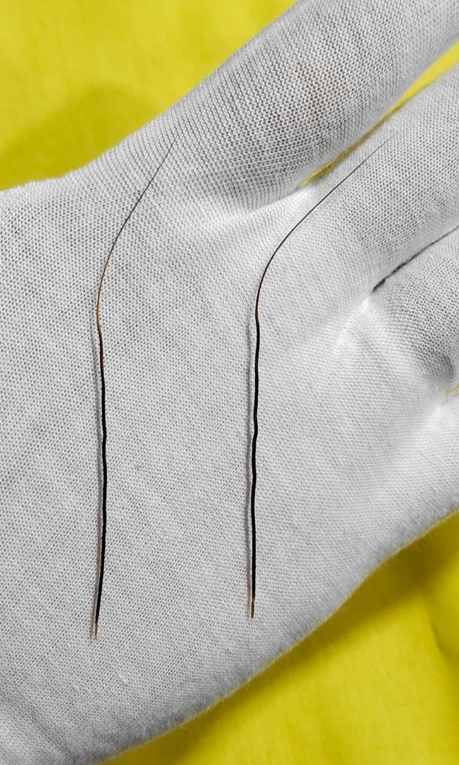 Bulu perindu emas sepasang 100% asli sesuai letak dalam dompet, Hobbies ...