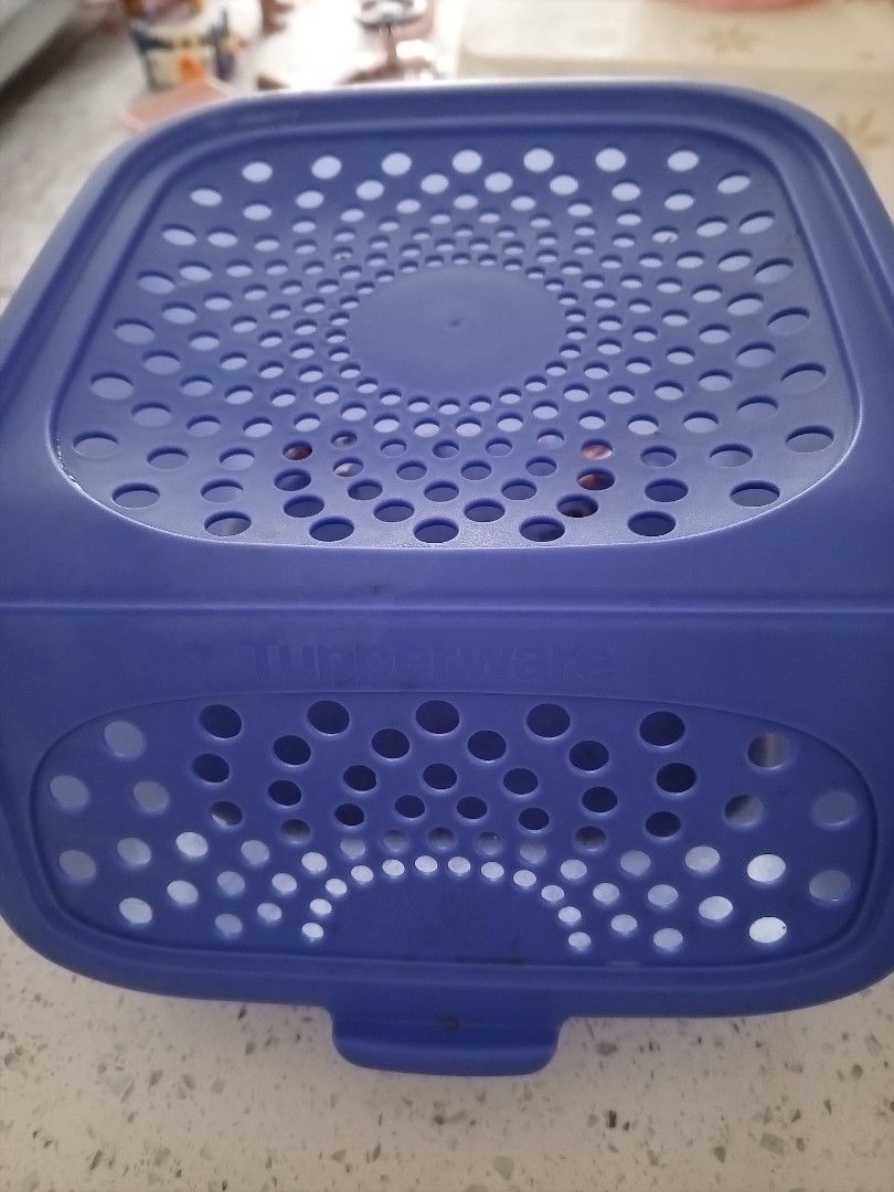 Tupperware garlic keeper, Furniture & Home Living, Home Improvement ...