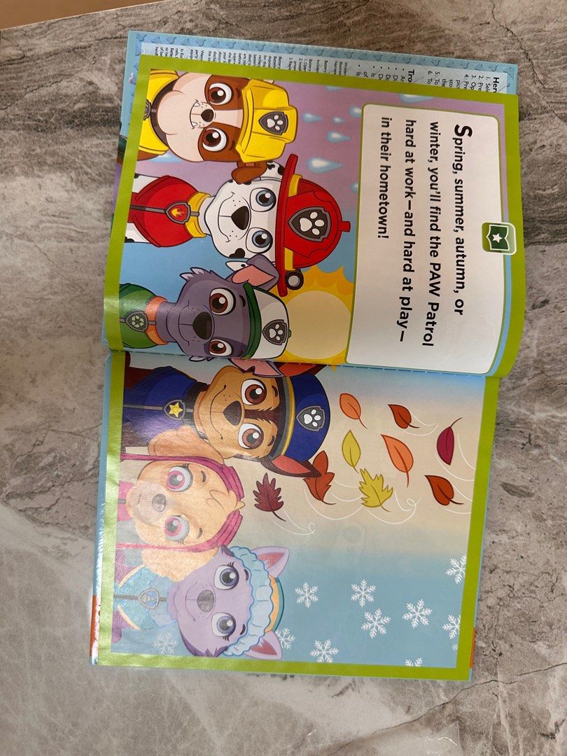 Nickelodeon meReader Paw Patrol story book with electronic meReader, 興趣 ...