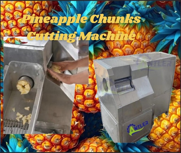 Pineapple Chunks Cutting Machine, Everything Else, Looking For on Carousell