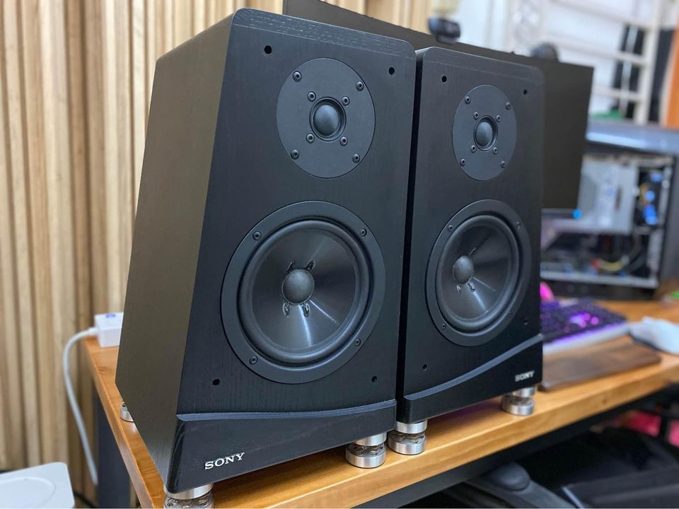 Sony "ES" Extremely High Standard Series | Germany Handmade | Curved ...