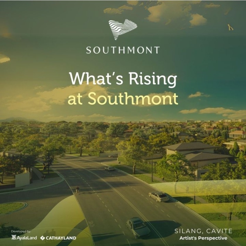 FOR SALE: 1,564 sqm Commercial Mixed Use Lot in Ayala Southmont ...