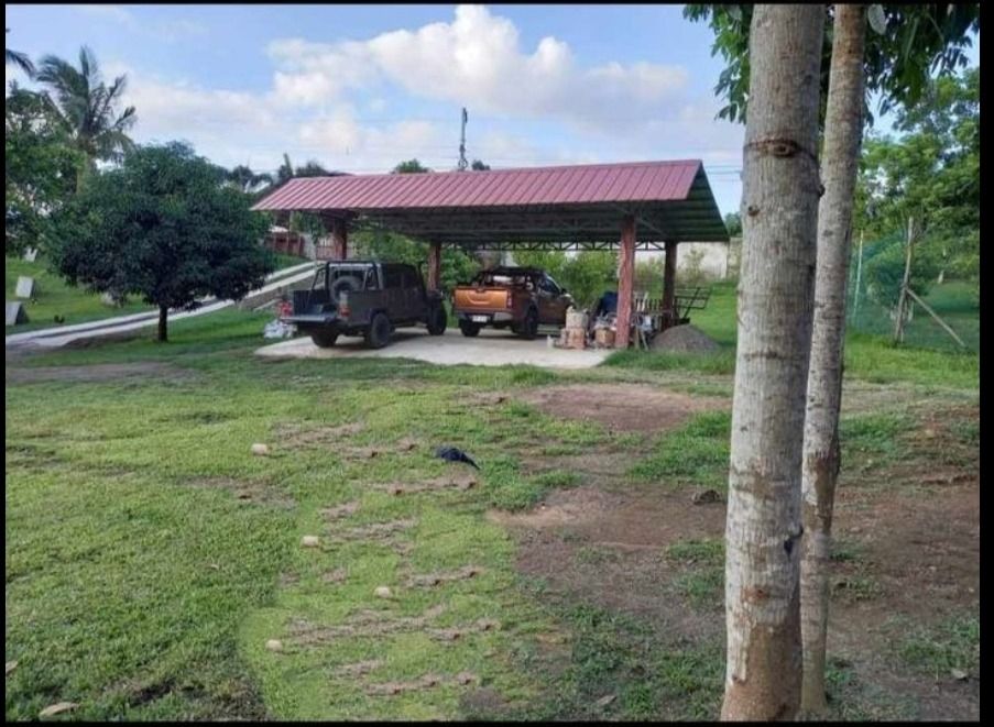 FS House and lot 1 hectare lipa city, Property, For Sale, Lot on Carousell