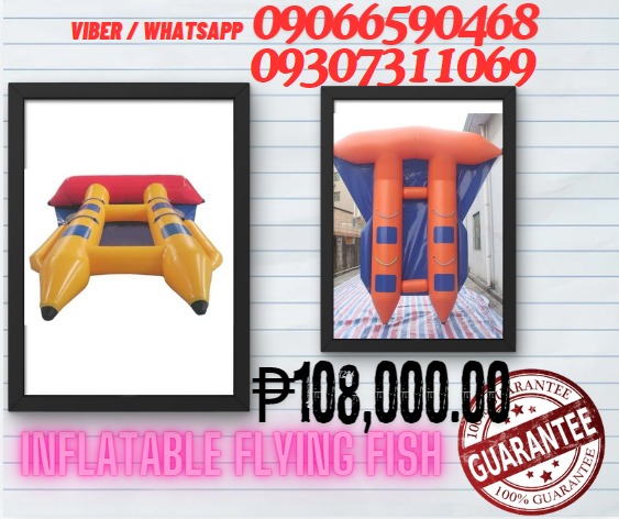 Inflatable Flying Fish with 4 seats capacity, Everything Else, Looking ...