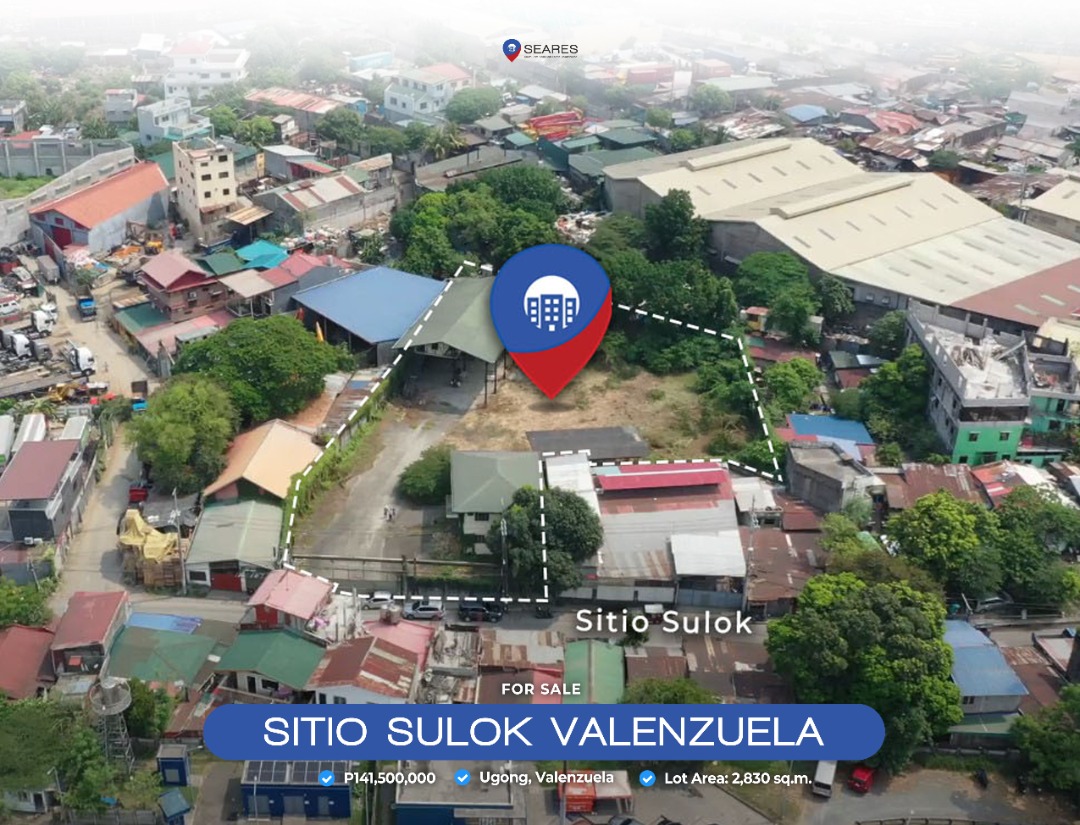 PRIME INDUSTRIAL PROPERTY IN VALENZUELA FOR SALE, Property, For Sale ...
