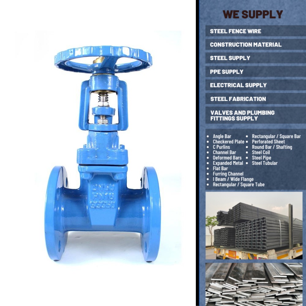 Rising Stem Gate Valve / 2" Rising Gate Valve / Check Valve / Globe ...