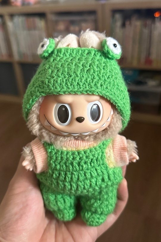 Labubu handmade costume - frog, Hobbies & Toys, Toys & Games on Carousell