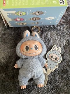 Labubu Macaron V1, Hobbies & Toys, Toys & Games on Carousell