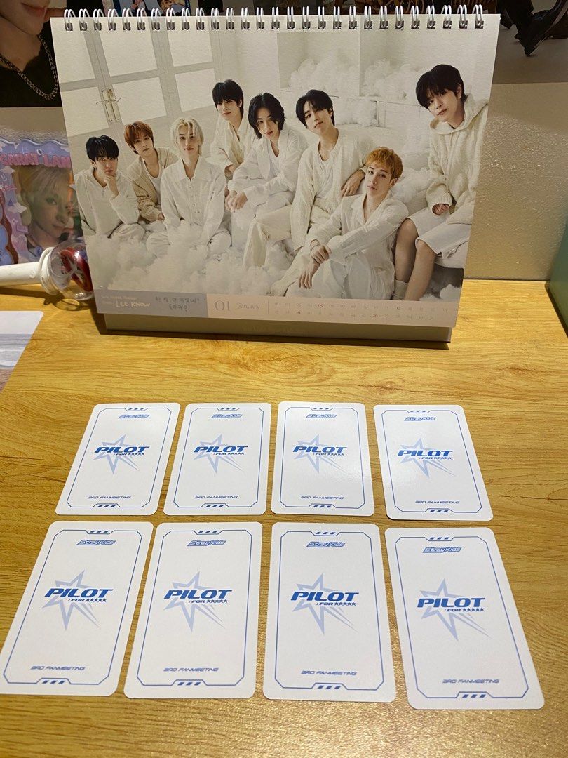 Stray kids Pilot 5 Star 3rd Fanmeeting POBs, Hobbies & Toys ...