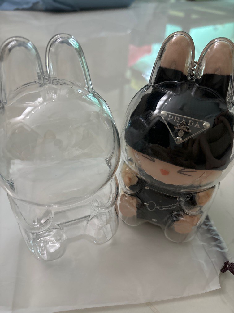 Acrylic Casing for Labubu V2 - Have a Seat, Hobbies & Toys, Toys ...