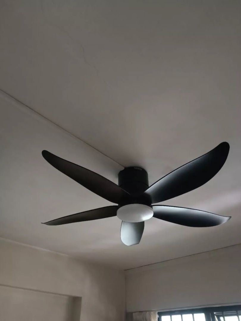 Fanco Rito-5 Ceiling fan, Furniture & Home Living, Lighting & Fans ...