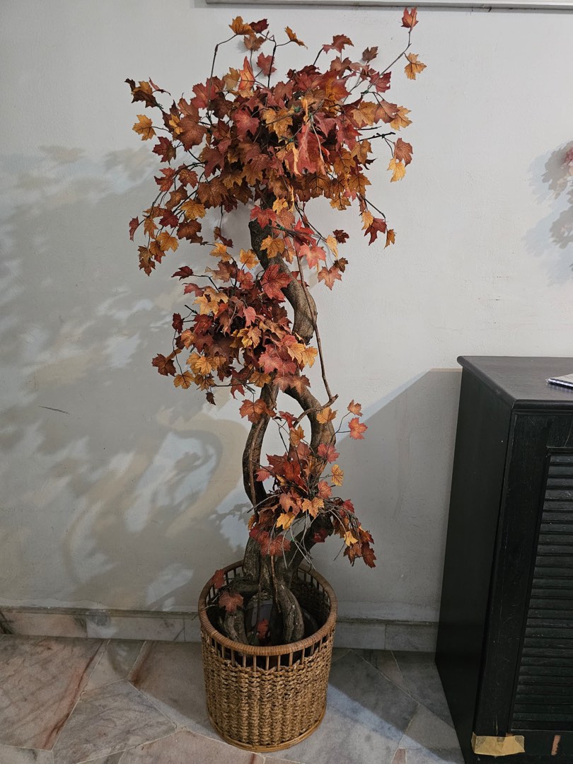 Home deco pokok, Furniture & Home Living, Home Decor, Vases ...