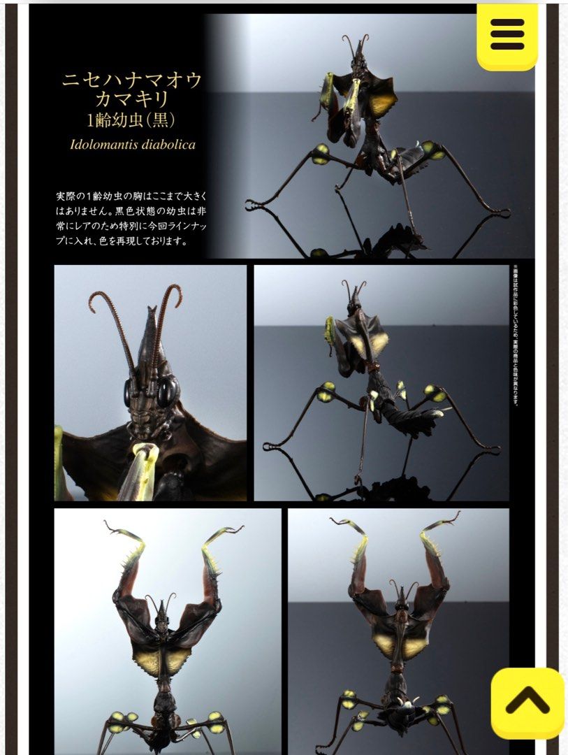 Bandai Premium Gashapon Camouflaged Leaf Mantis / 萬代 高級扭蛋 大圖鑑 偽裝枯葉螳螂 （全 ...
