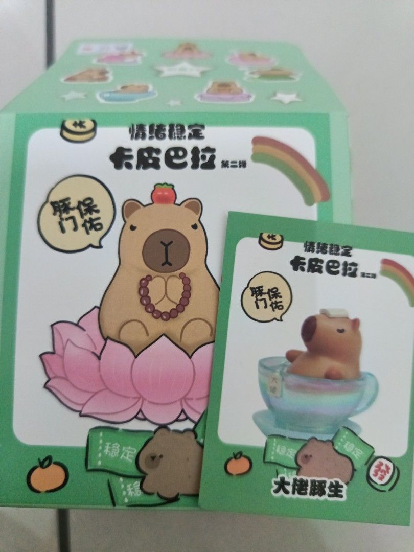 Capybara blind box, Hobbies & Toys, Toys & Games on Carousell