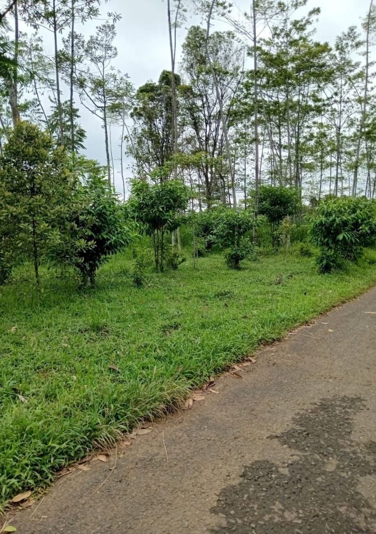 JUAL TANAH MURAH DI KABANDUNGAN SUKABUMI, Properti, Dijual di Carousell
