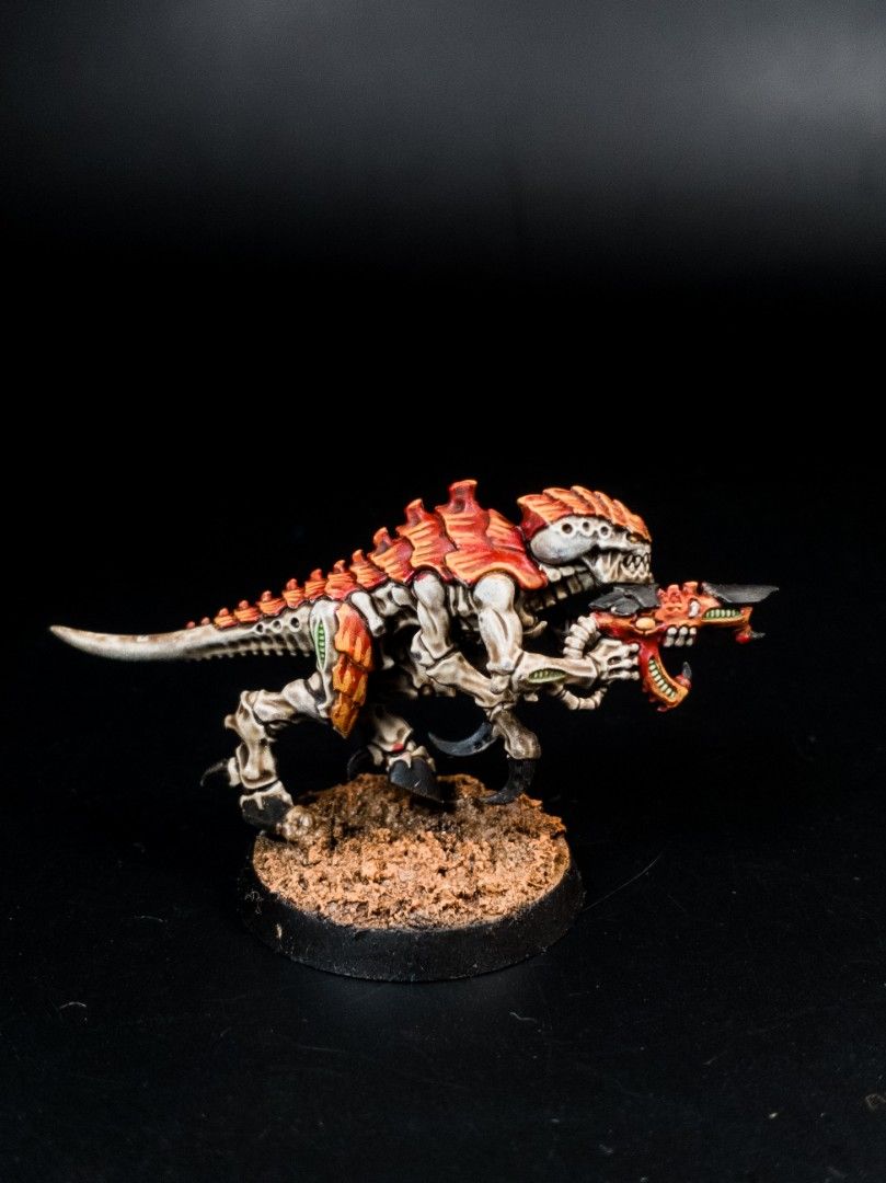 Warhammer 40k Tyranids Termagants and Ripper Swamp painted, Hobbies ...