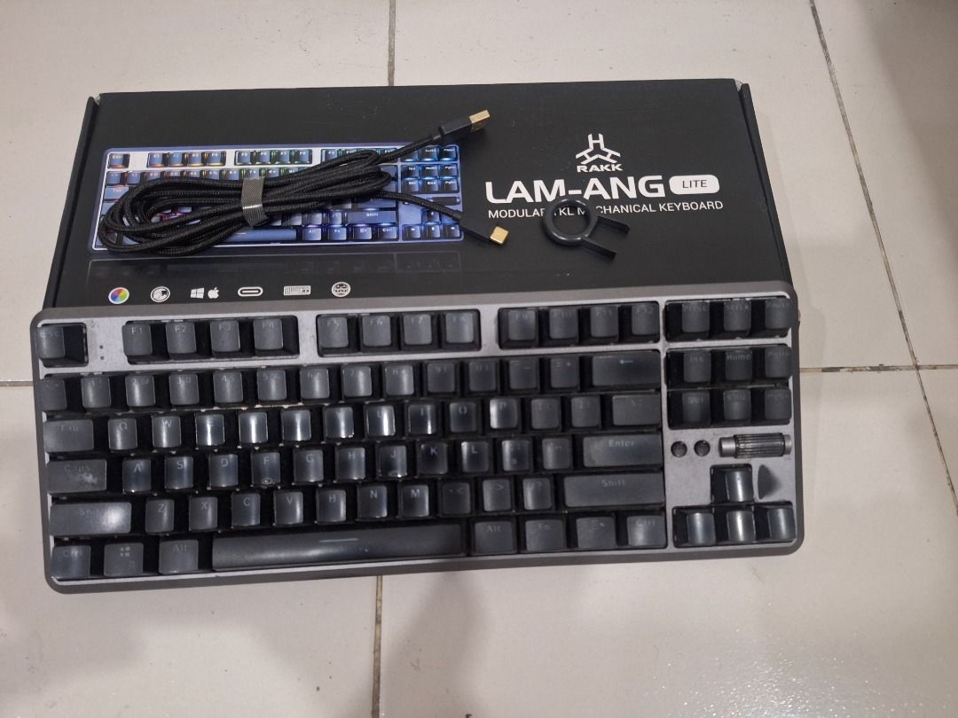 Rakk Lam-Ang Lite Modular TKL Mechanical Keyboard (Gaming), Computers ...