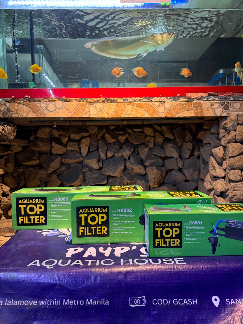 Aquarium Top Filter, Pet Supplies, Homes & Other Pet Accessories on ...