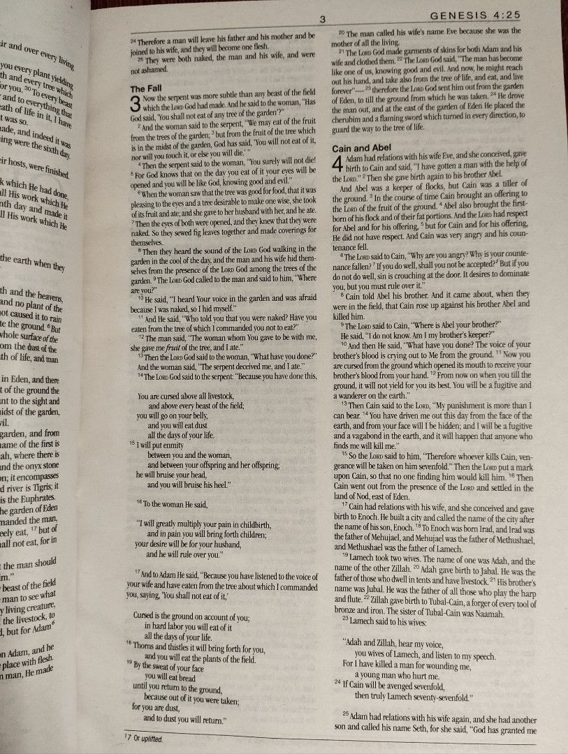 Modern English Version Bible, Hobbies & Toys, Books & Magazines ...