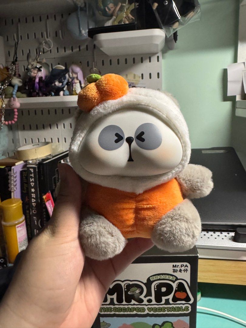NEW SERIES Mr.PA escaped vegetables pumpkin like labubu, Hobbies & Toys ...