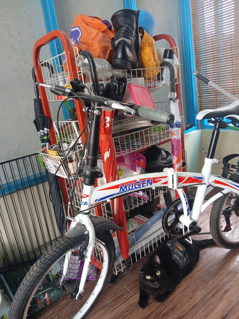 Mugen Foldable Bike, Sports Equipment, Bicycles & Parts, Bicycles on Carousell