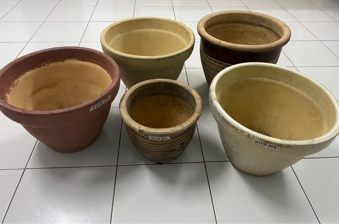 RM50 for 1 S and 4 M-Lsize pots, Furniture & Home Living, Gardening ...