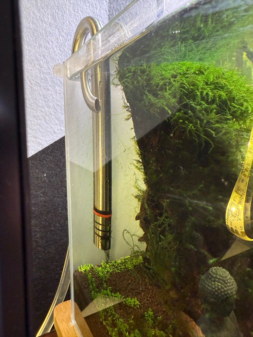 20cm Cube Tank set with TRU Canister Filter, Pet Supplies, Homes ...