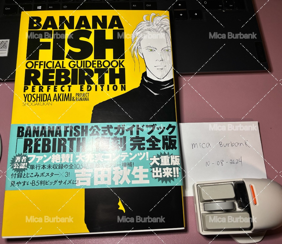 BANANA FISH Official Guidebook REBIRTH Perfect Edition, Hobbies & Toys ...