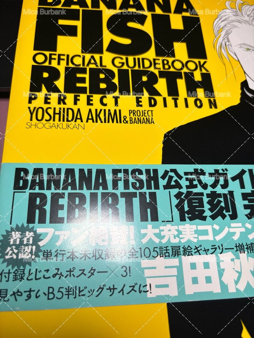 SELLING UNTIL 01-2025 ONLY! BANANA FISH Official Guidebook REBIRTH ...