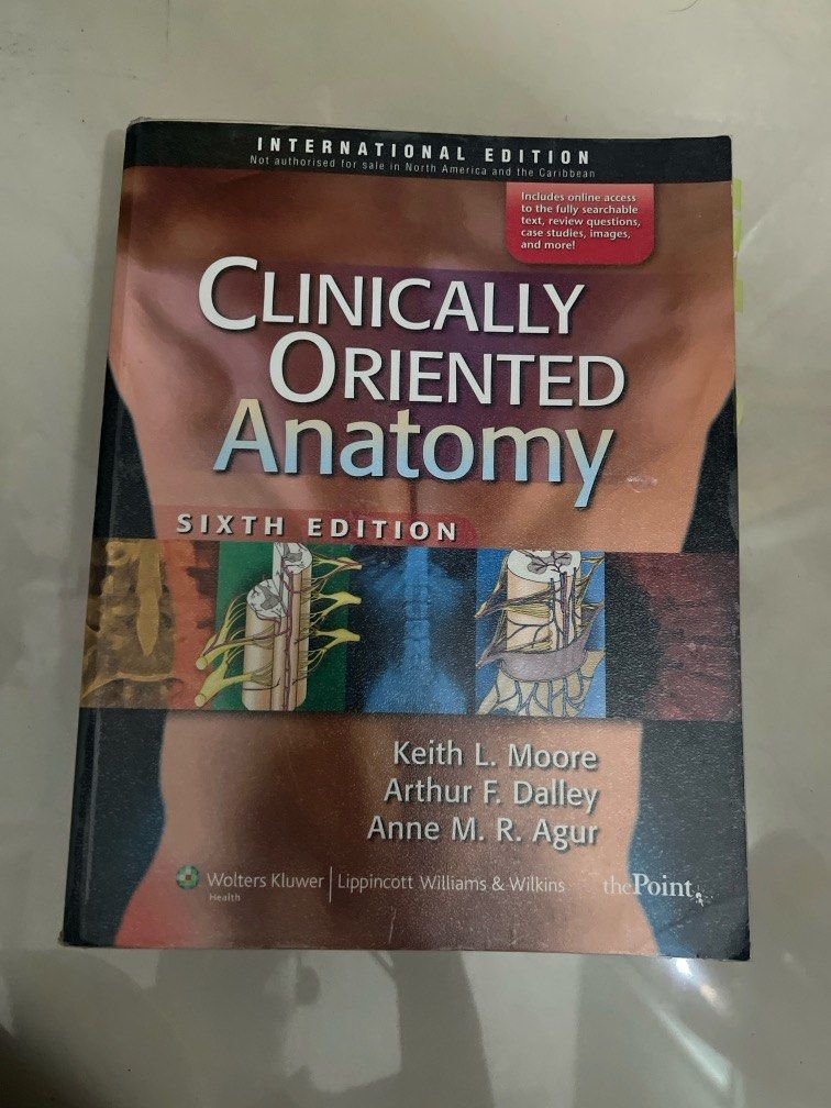 Clinically Oriented Anatomy Moore Hobbies Toys Books Magazines