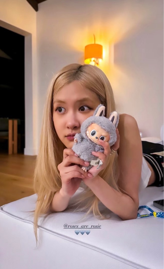 Labubu Macarons V1 Sesame Bean (Blackpink Rose version), Hobbies & Toys ...