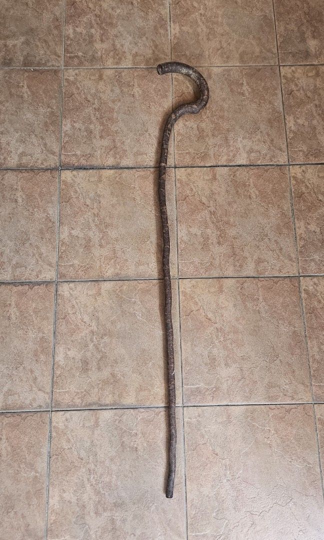 Tongkat raja kayu putih + tas merah mati berangan, Hobbies & Toys ...