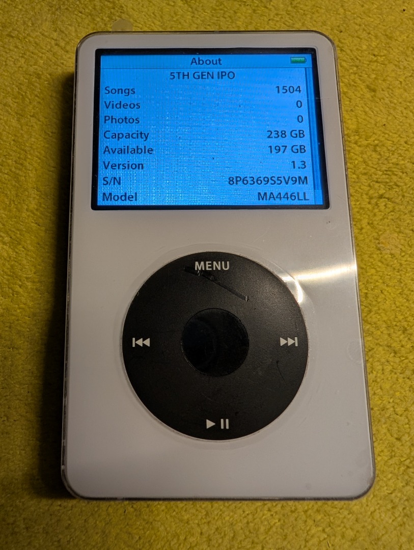 APPLE IPOD CLASSIC 5.5TH GEN 256GB PANDA, Audio, Portable Music Players ...