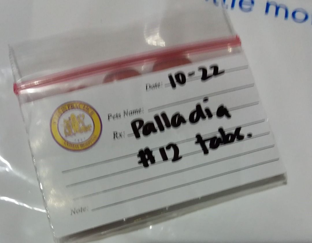 PALLADIA 50mg. for 50kgs dogs P1300/tablet, Pet Supplies, Health ...