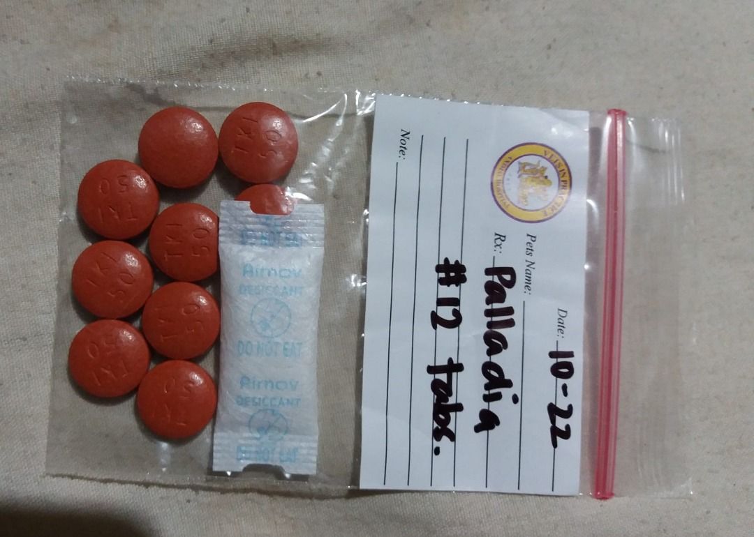 PALLADIA 50mg. for 50kgs dogs P1300/tablet, Pet Supplies, Health ...