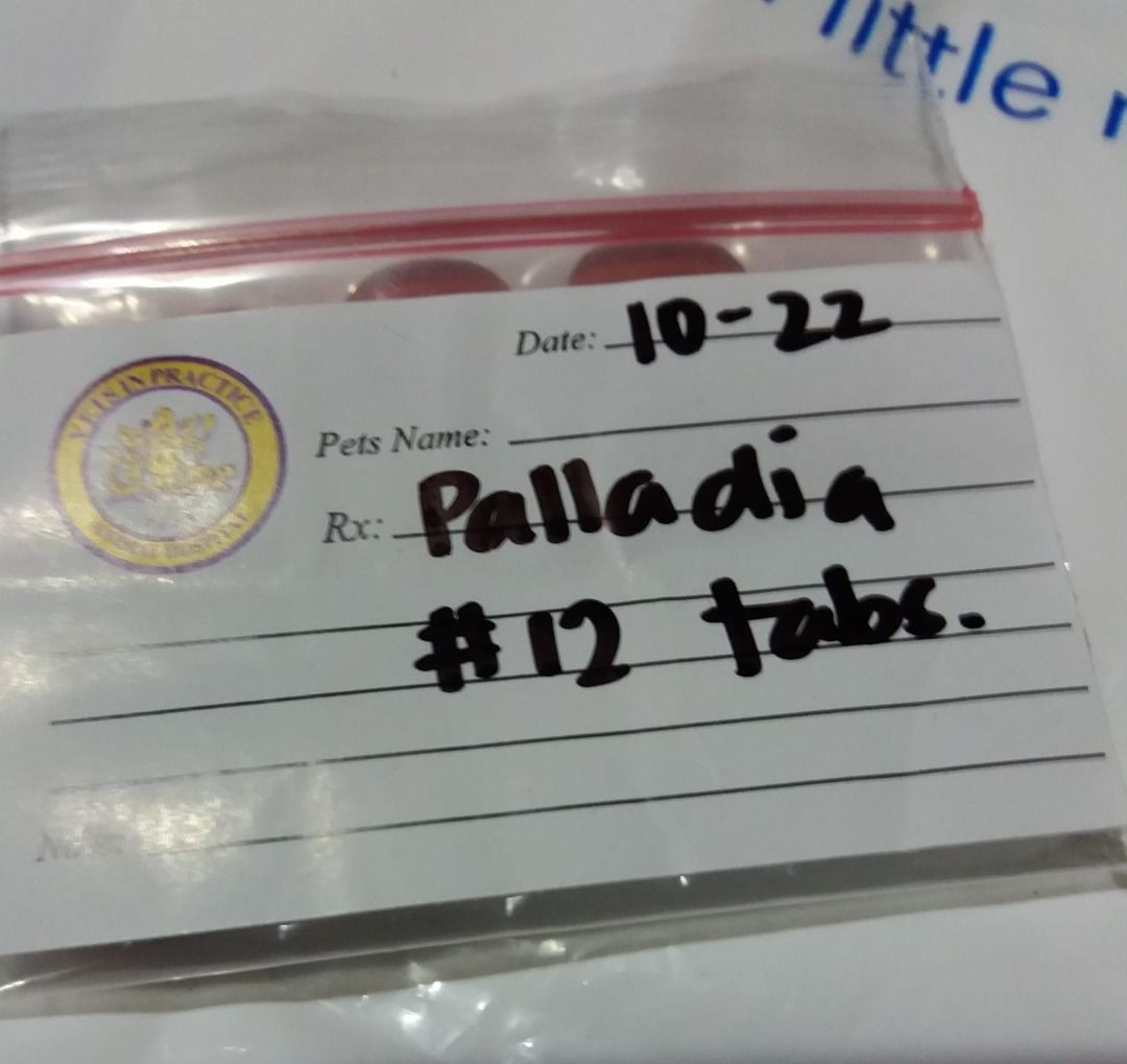 PALLADIA 50mg. for 50kgs dogs P1300/tablet, Pet Supplies, Health ...