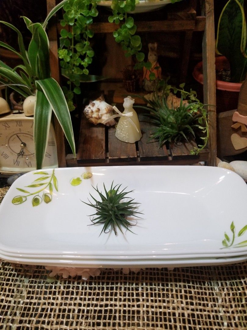 U S Corelle Break & Chip Resistant Vitrelle Fosh Plate /Serving Square ...