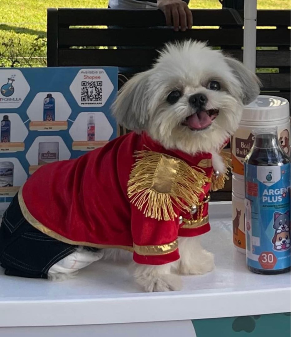 Dog Nutcracker Costume, Pet Supplies, Homes & Other Pet Accessories on ...
