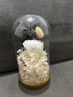 Flower Glass Dome Kuromi | Preserved Flower Glass Dome | Flower Bell ...