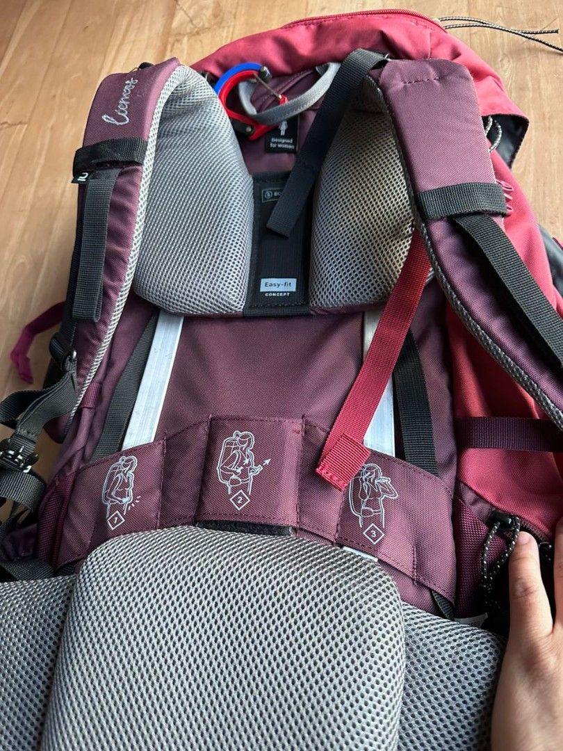 QUECHUA 50L BACKPACK, Women's Fashion, Bags & Wallets, Backpacks on ...
