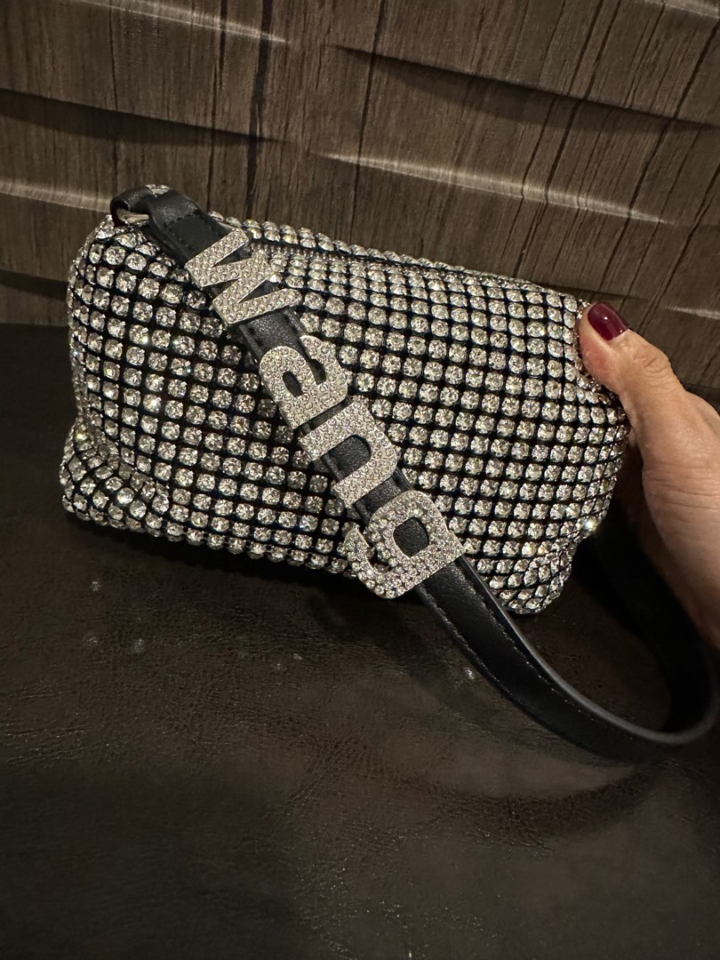 Alexander Wang Mini, Luxury, Bags & Wallets on Carousell