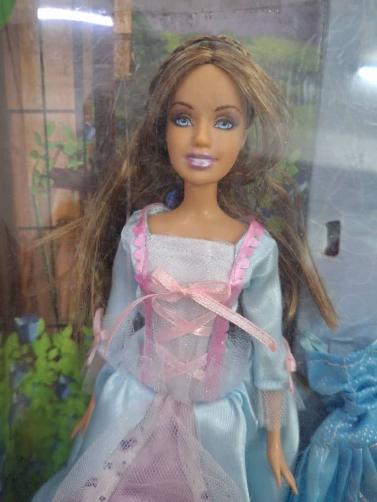 Barbie Erika Doll, Everything Else, Others on Carousell