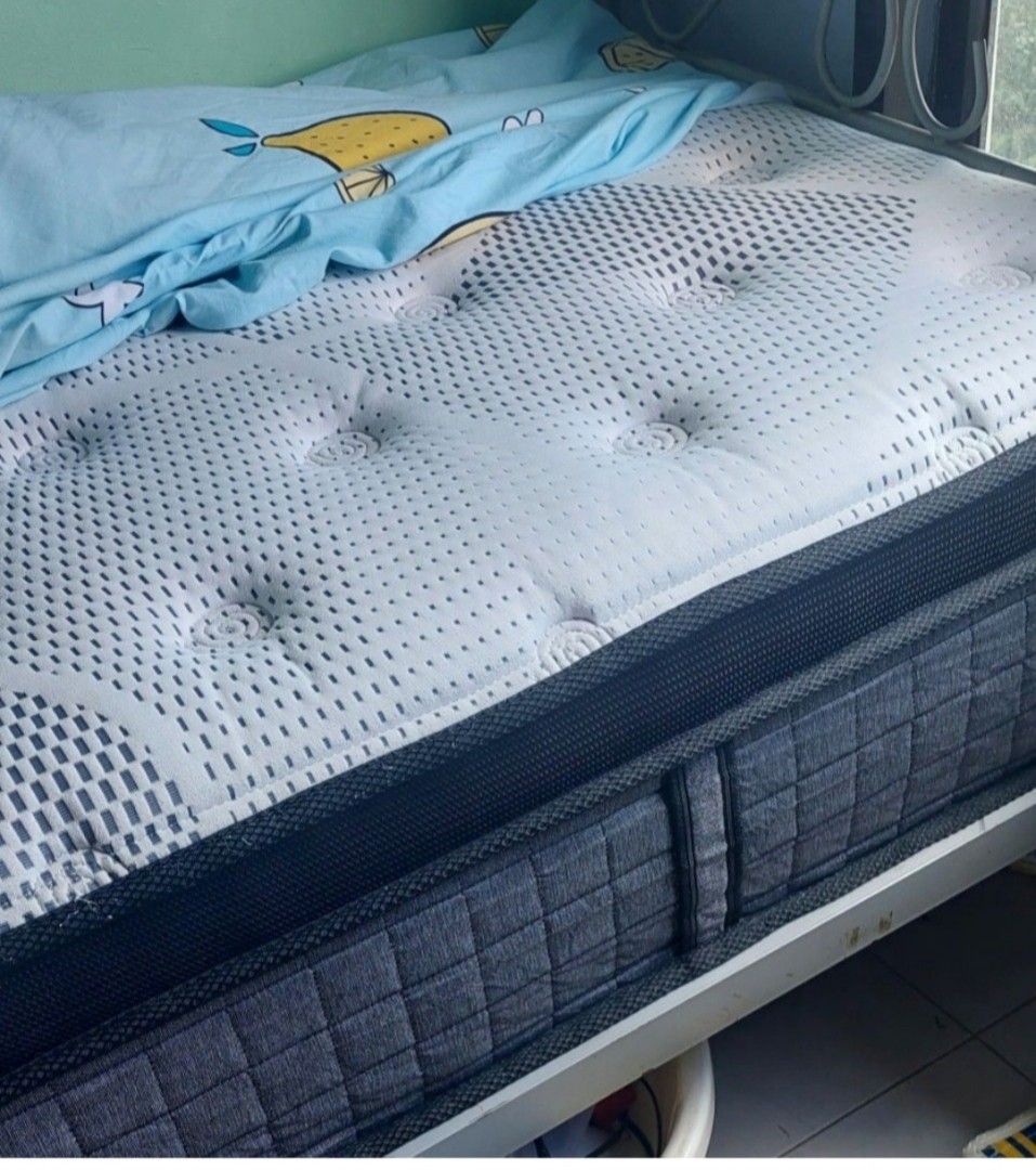 ZZZ Atelier black label chiropedic single mattress, Backache pain, Bed ...