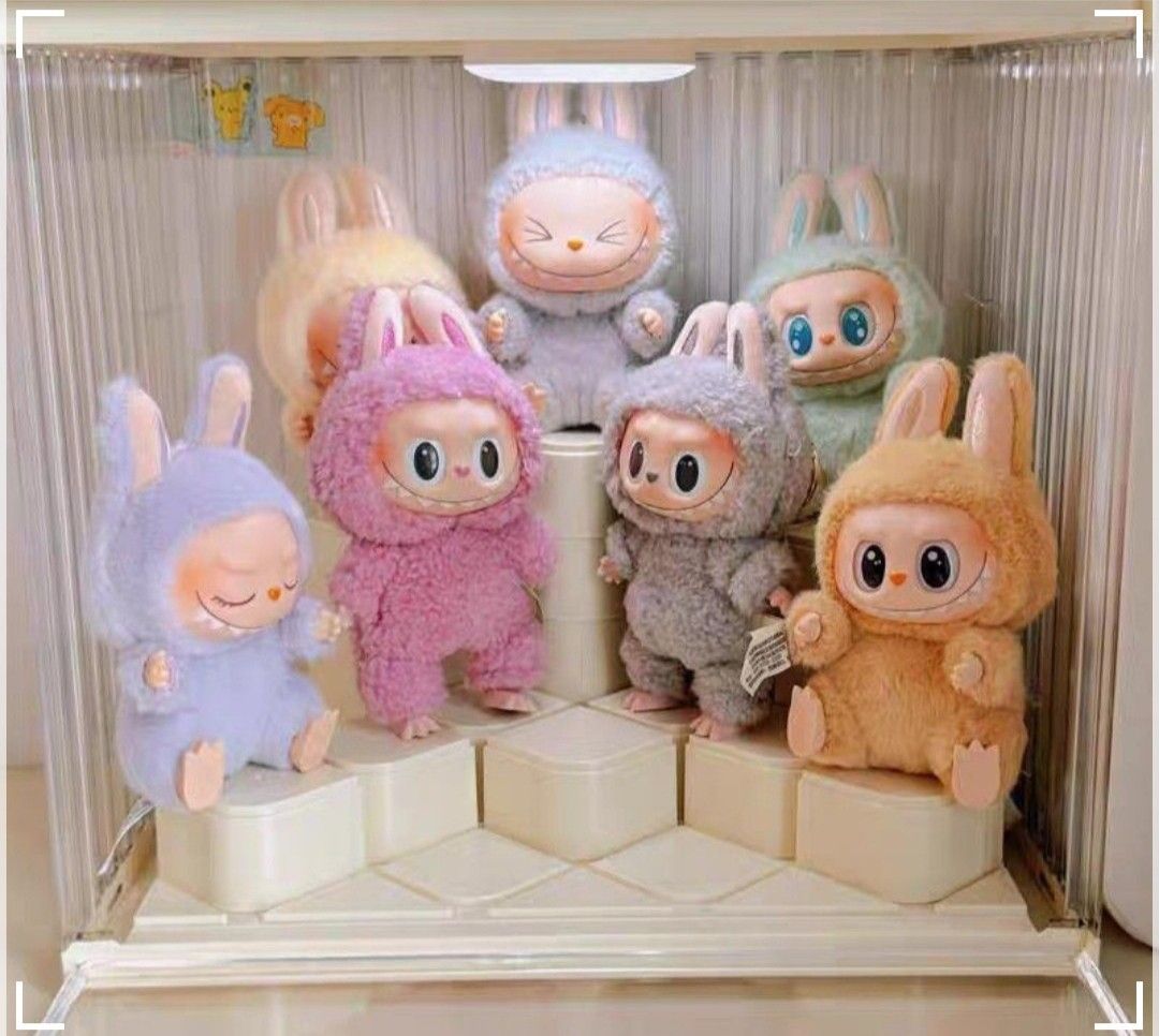 [Last 4]Display box for popmart labubu v1 v2, Hobbies & Toys, Toys ...