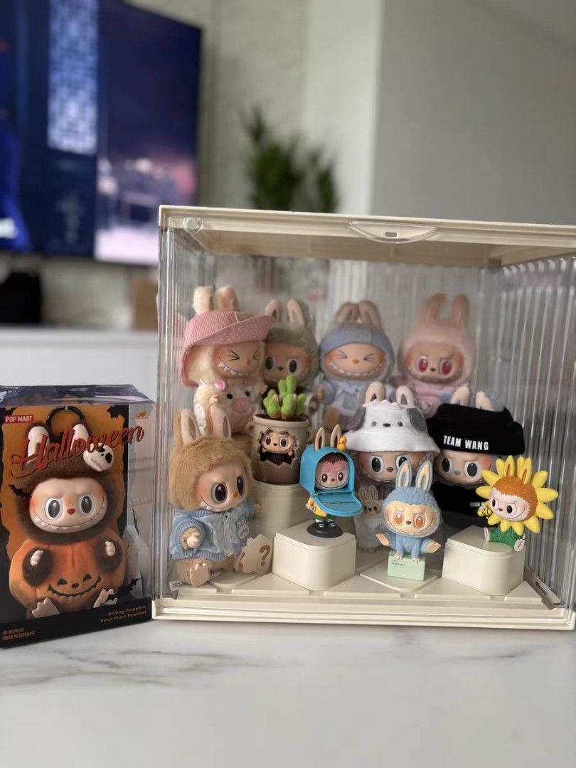 [Last 4]Display box for popmart labubu v1 v2, Hobbies & Toys, Toys ...
